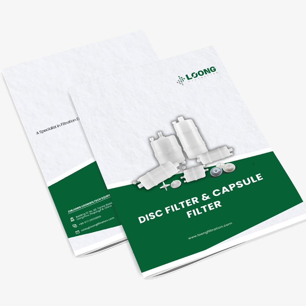 Capsule Filters | High-Quality Filtration Solutions - LOONG FILTRATION